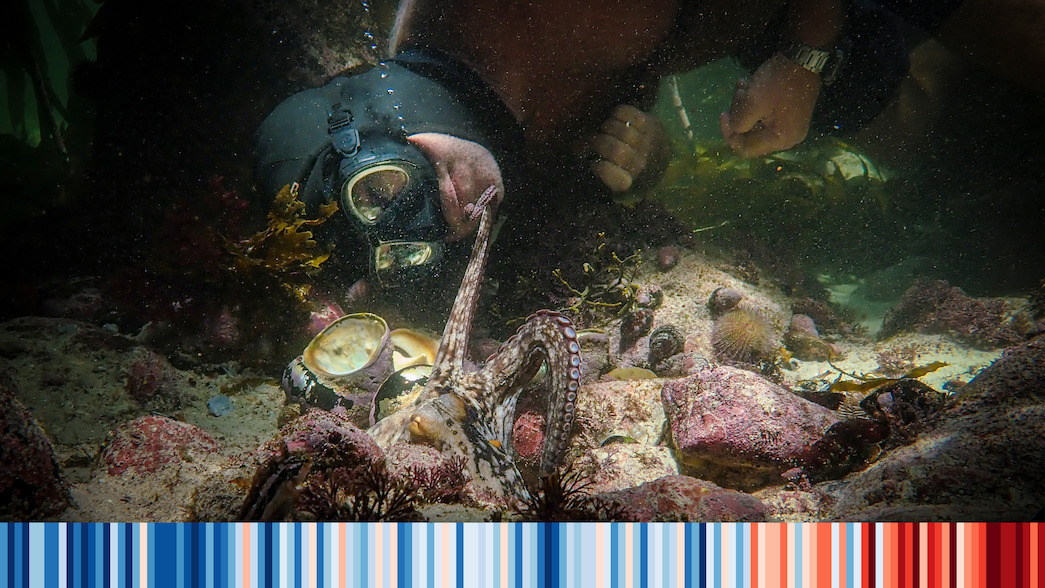 11 Best Environmental Movies and TV Shows on Netflix - Netflix Tudum