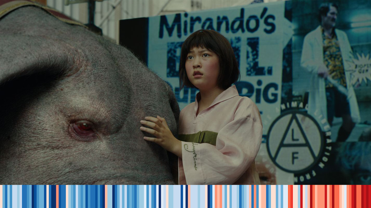 11 Best Environmental Movies and TV Shows on Netflix - Netflix Tudum