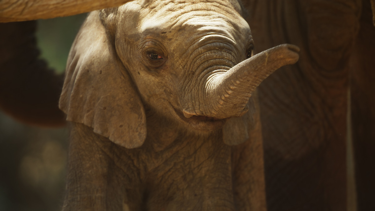 7 Netflix Movies and Shows All About Babies - Netflix Tudum