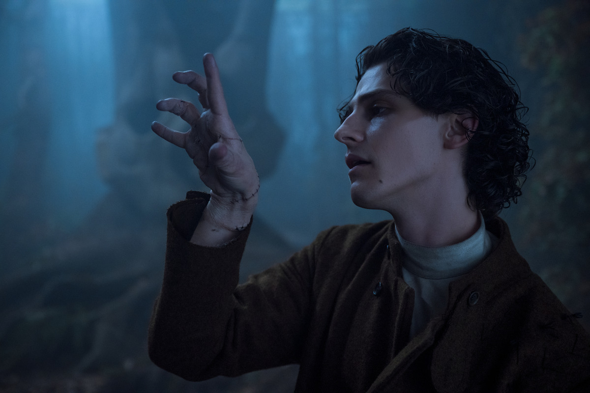 'Wednesday' Season 2 Ending Explained: Aunt Ophelia, Enid Alpha Werewolf, More Explained ...