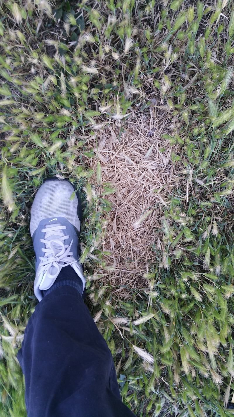 ‘Unsolved Mysteries’ Volume 3: ‘Paranormal Rangers’ - Netflix Tudum