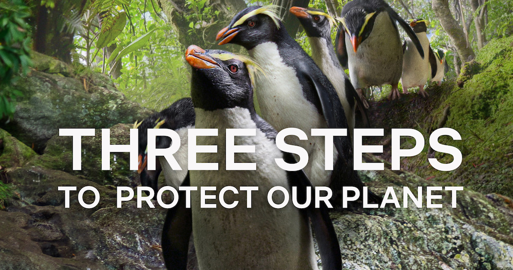 Our Planet 2 Sustainability Actions - Netflix Tudum