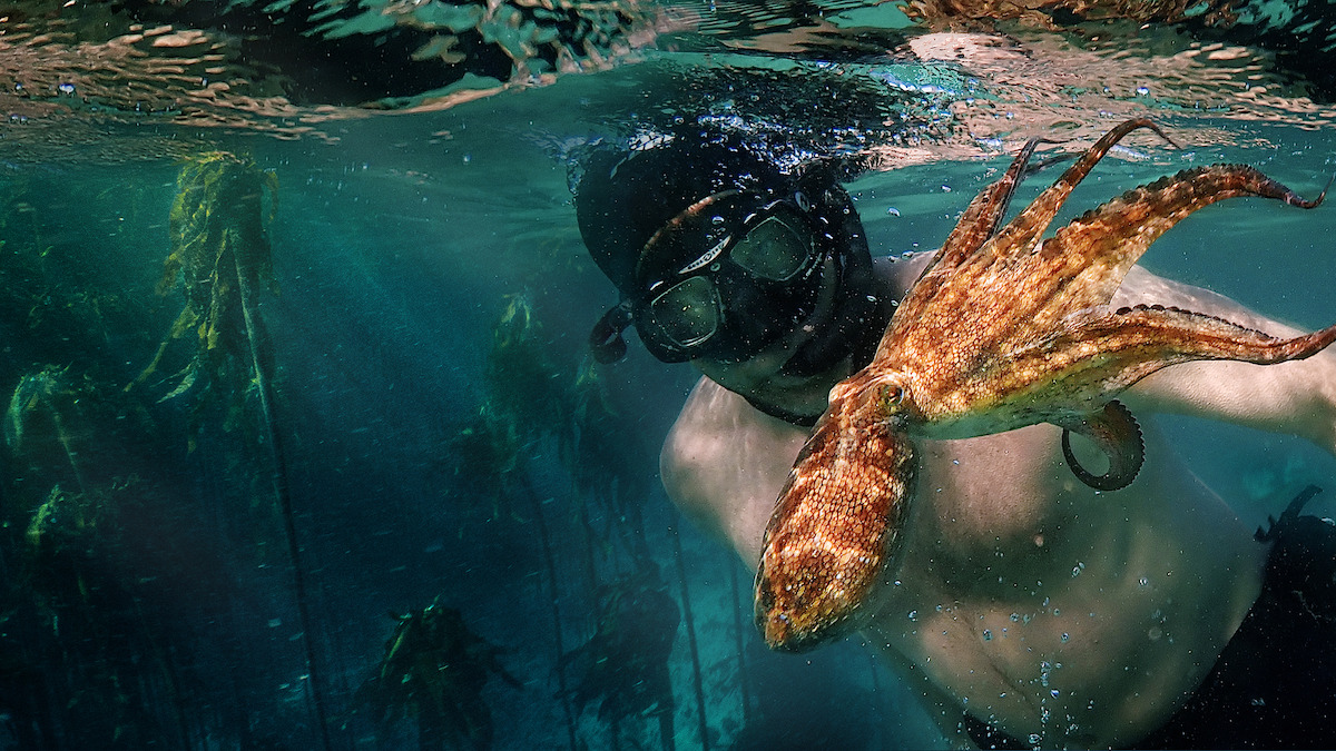 18 Best Documentaries on Netflix to Stream Right Now - Netflix Tudum