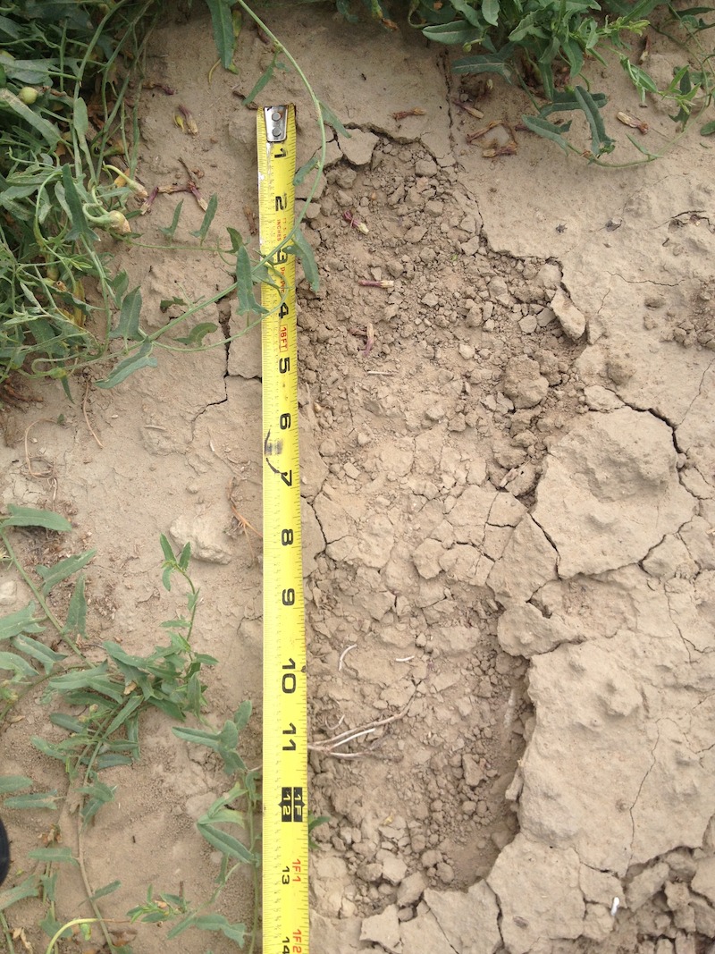 ‘Unsolved Mysteries’ Volume 3: ‘Paranormal Rangers’ - Netflix Tudum