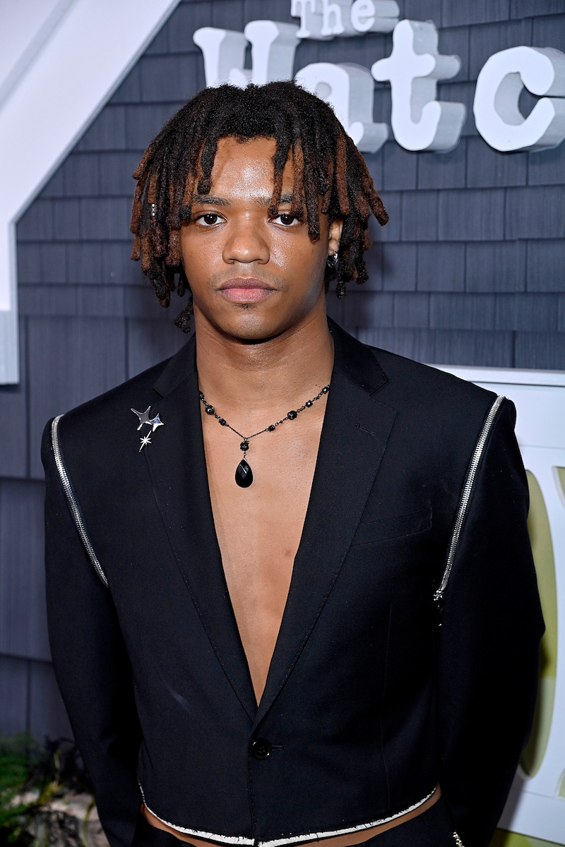 ‘The Watcher’ Red Carpet Premiere Cast Photos - Netflix Tudum