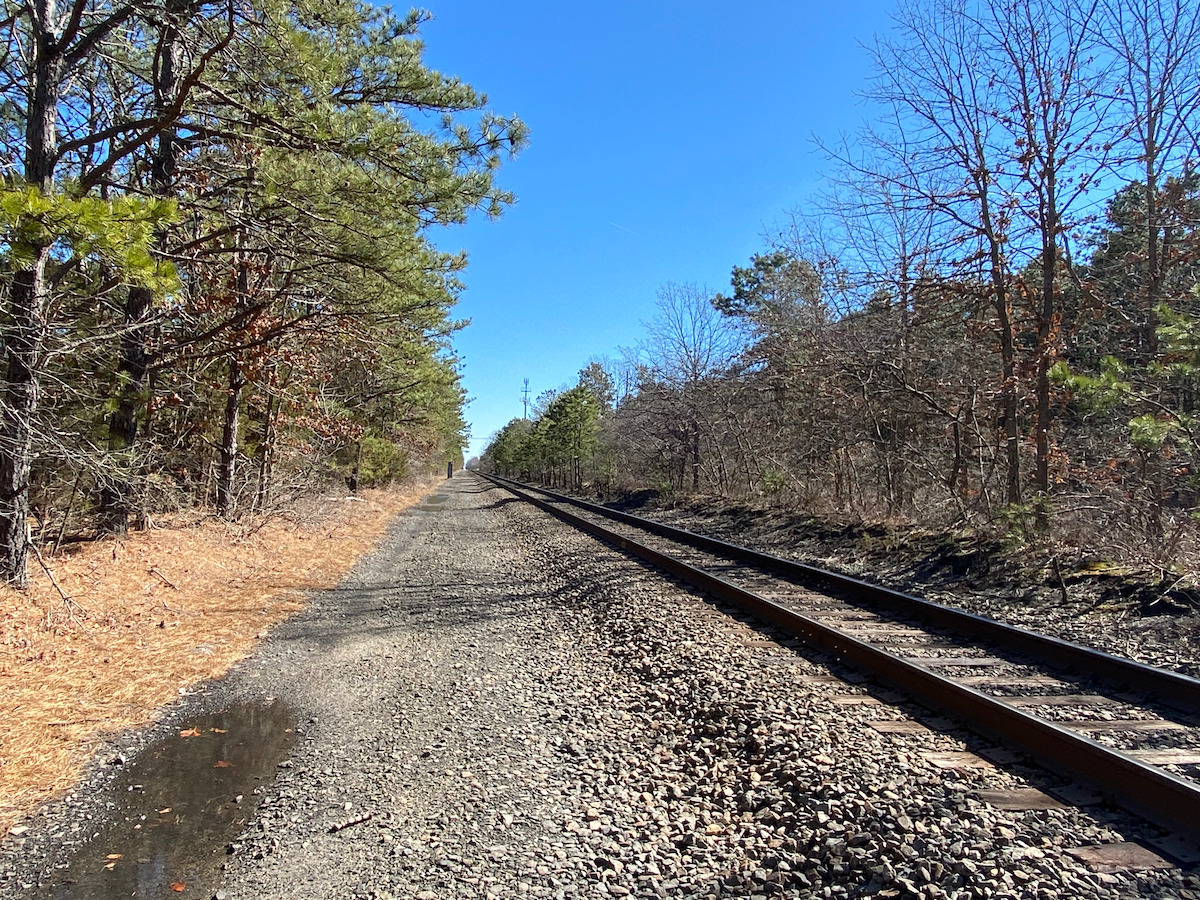 ‘Unsolved Mysteries’ Volume 3: What Happened to Tiffany Valiante ...