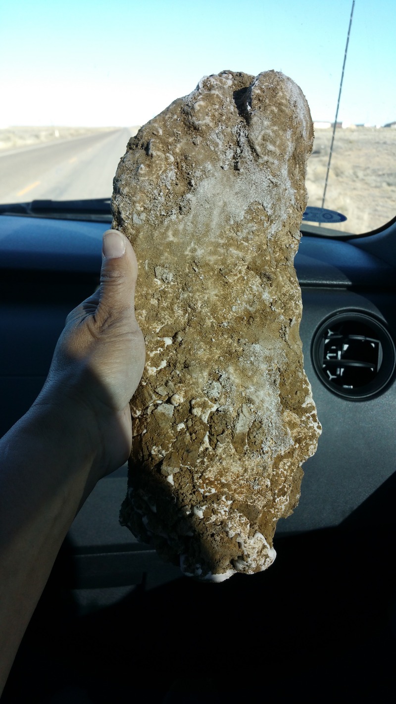 ‘Unsolved Mysteries’ Volume 3: ‘Paranormal Rangers’ - Netflix Tudum