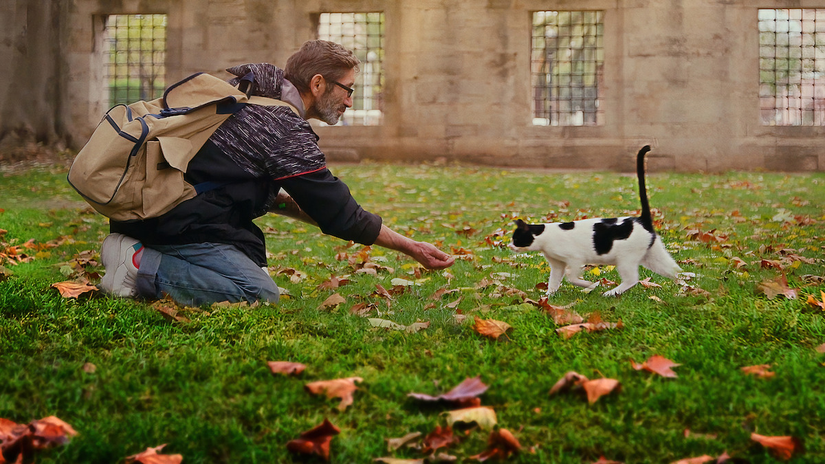 12 Best Movies About Animals That Kids Will Go Wild For - Netflix Tudum