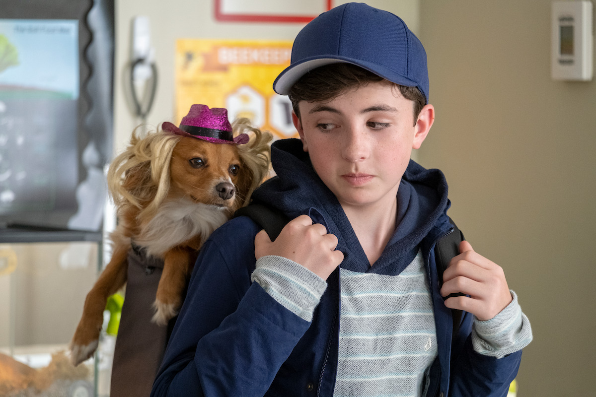 8 Shows and Movies Featuring Disabled Characters - Netflix Tudum