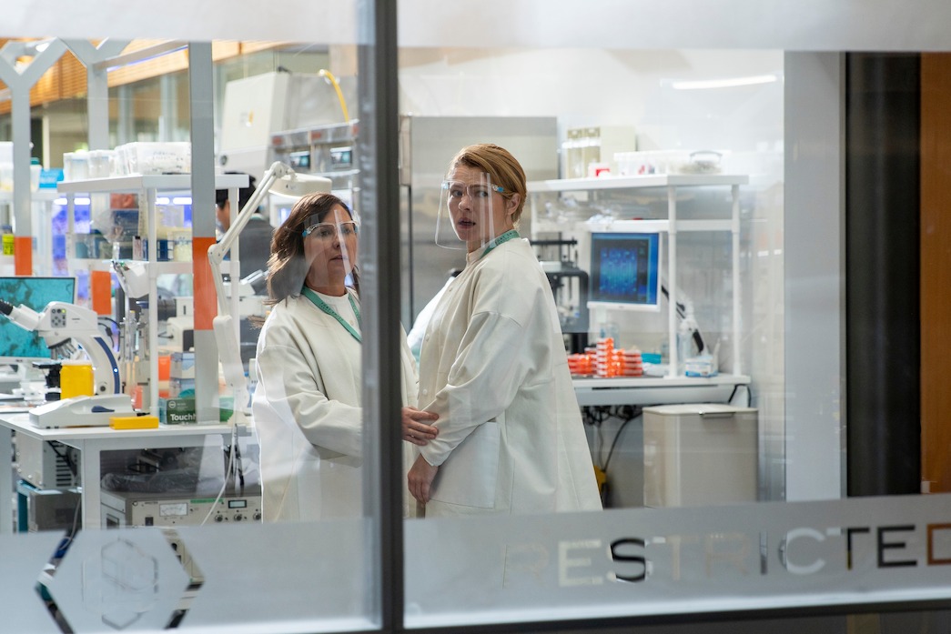 Where Was Sweet Tooth Filmed? A Guide to the Locations in Season 2 ...