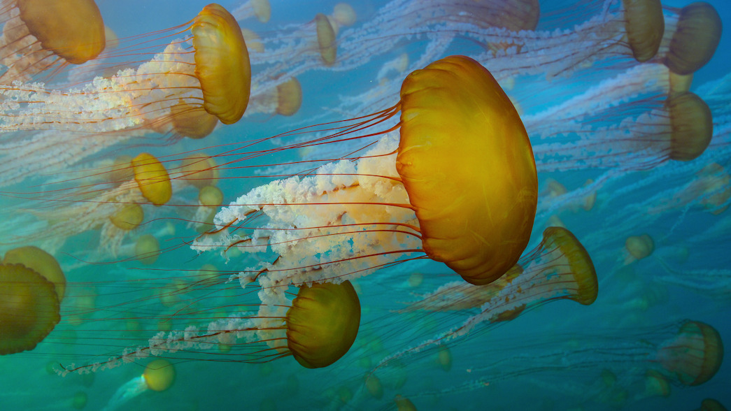 15 Incredibly Fun Shows for the Whole Family to Stream - Netflix Tudum