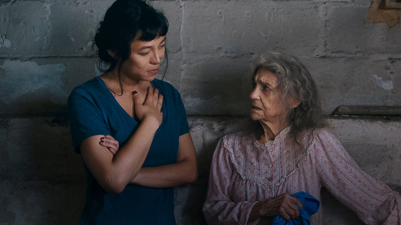 13 Movies and Series That Feature Trans Characters - Netflix Tudum