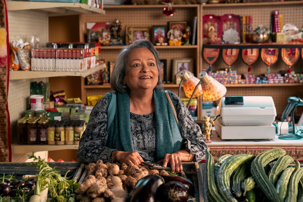 Never Have I Ever Cast Guide: Meet Devi and Her Classmates - Netflix Tudum