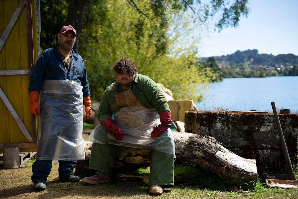 15 of the Best Hispanic Movies and Shows to Watch - Netflix Tudum