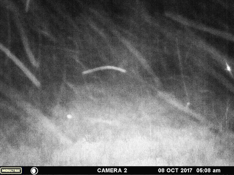 ‘Unsolved Mysteries’ Volume 3: ‘Paranormal Rangers’ - Netflix Tudum