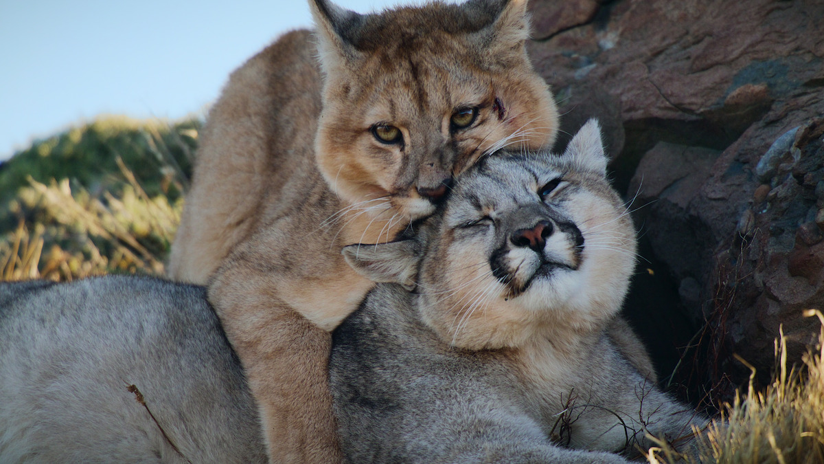 New on Netflix in September 2023 - Netflix Tudum