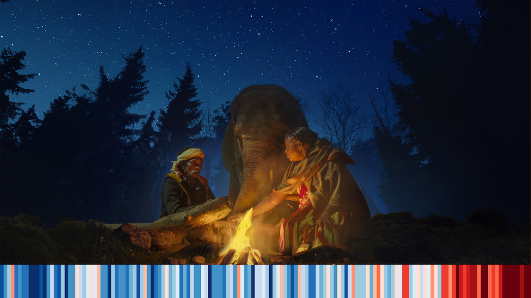 11 Best Environmental Movies and TV Shows on Netflix - Netflix Tudum