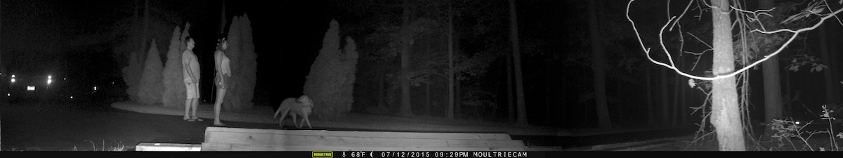 ‘Unsolved Mysteries’ Volume 3: What Happened to Tiffany Valiante ...