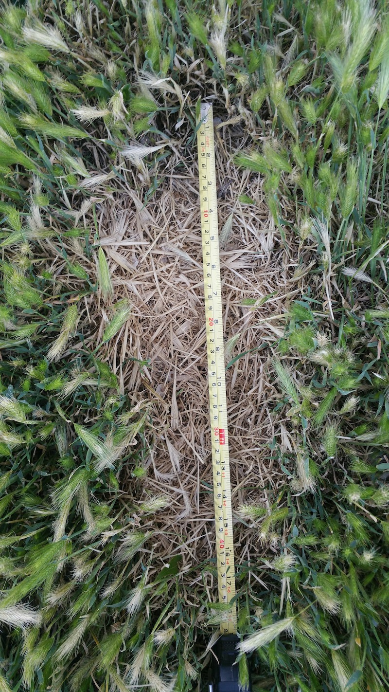 ‘Unsolved Mysteries’ Volume 3: ‘Paranormal Rangers’ - Netflix Tudum