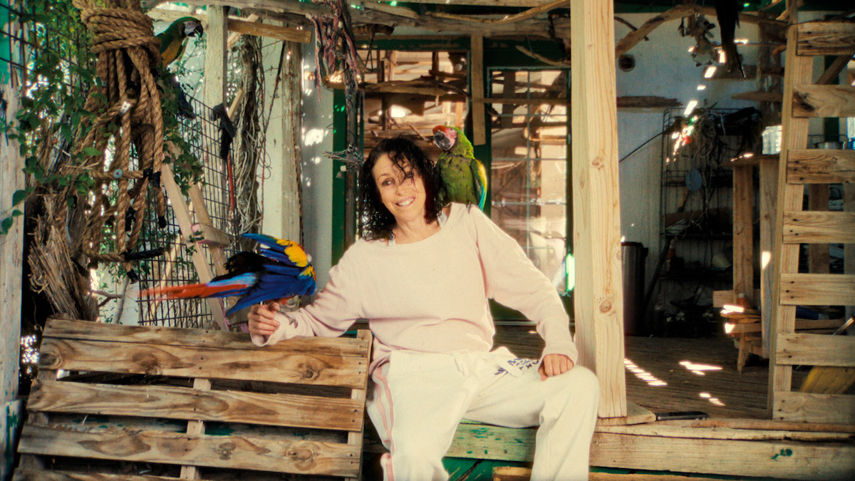 aka Charlie Sheen: The True Story Behind the Documentary's Most ...