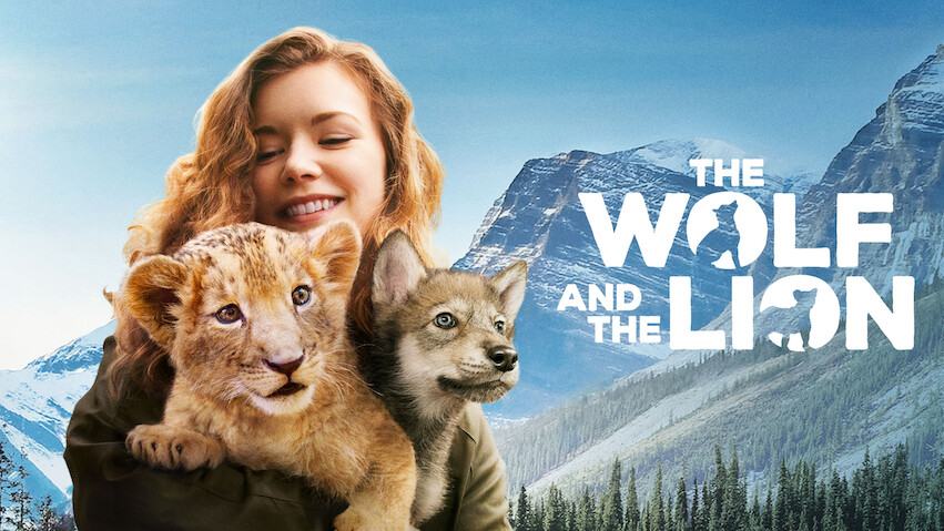 Top 10 Most Popular Movies on Netflix in Ireland