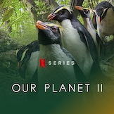 Our Planet II Trailer: Here's the News on the Return of the Epic Nature ...