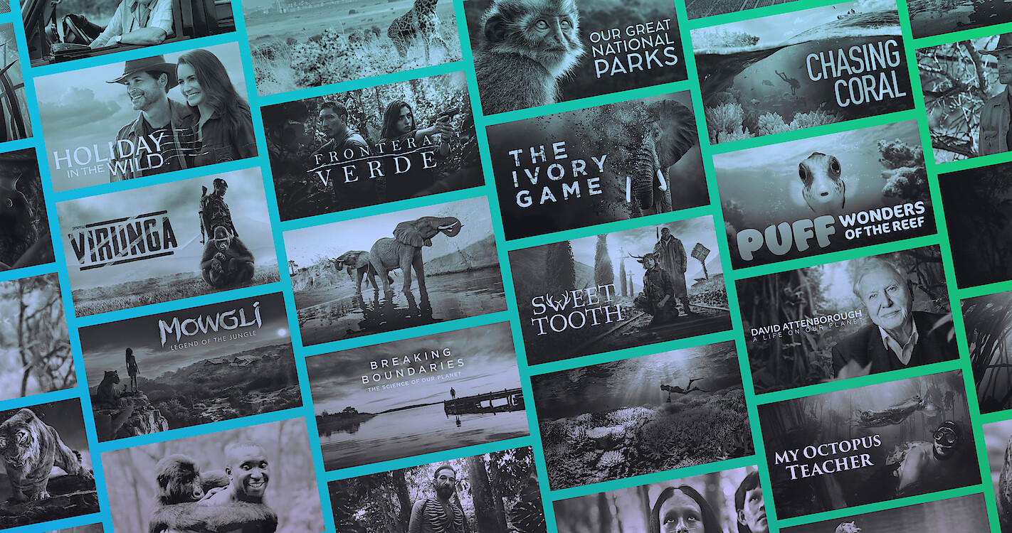 The Best Nature Documentaries To Watch on Netflix - Netflix Tudum The Best Nature Documentaries To Watch on Netflix - Netflix Tudum