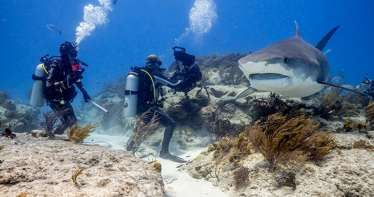 Our Planet II: Behind the Scenes - Netflix Tudum