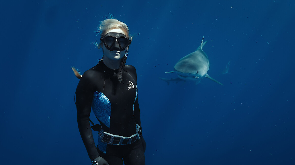 Who Is Ocean Ramsey? Shark Whisperer Documentary Reveals Activist's ...