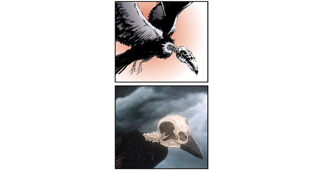 ‘The Sandman’ Surprise Episode 11 ‘A Dream of a Thousand Cats ...