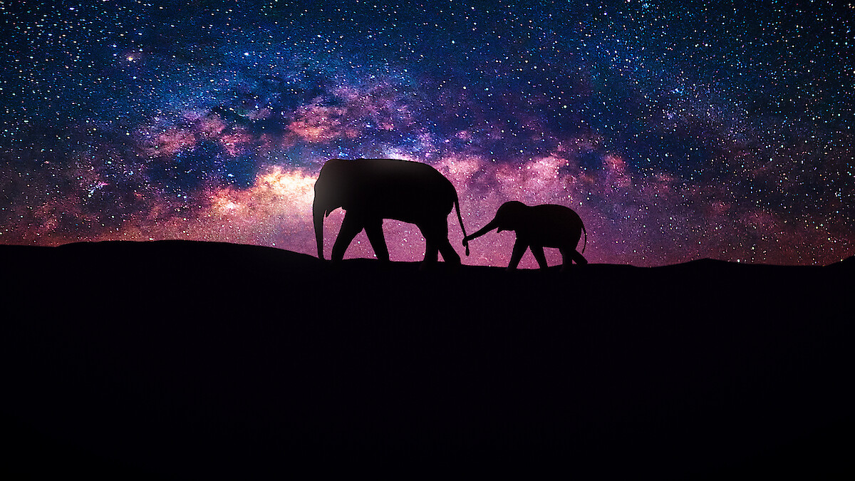 9 Best Nature Documentaries to Stream Right Now - Netflix Tudum