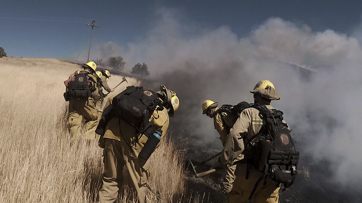 10 Best Movies About Climate Change on Netflix - Netflix Tudum