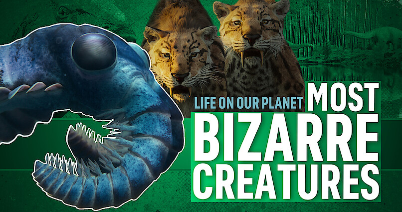 How Is Life on Our Planet Made? Here's How Filmmakers & Scientists ...