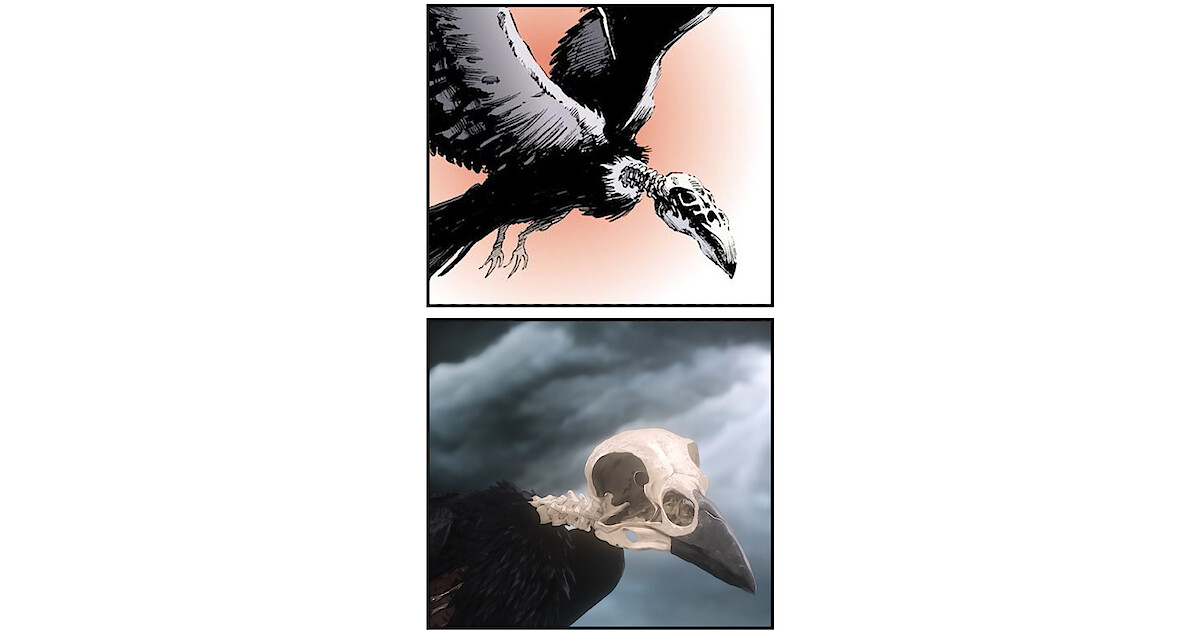 The Sandman | Comics to Screen Adaptation - Netflix Tudum