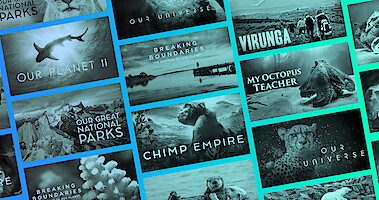 Is ‘Our Planet’ CGI? Here’s How This Nature Documentary Is Actually ...