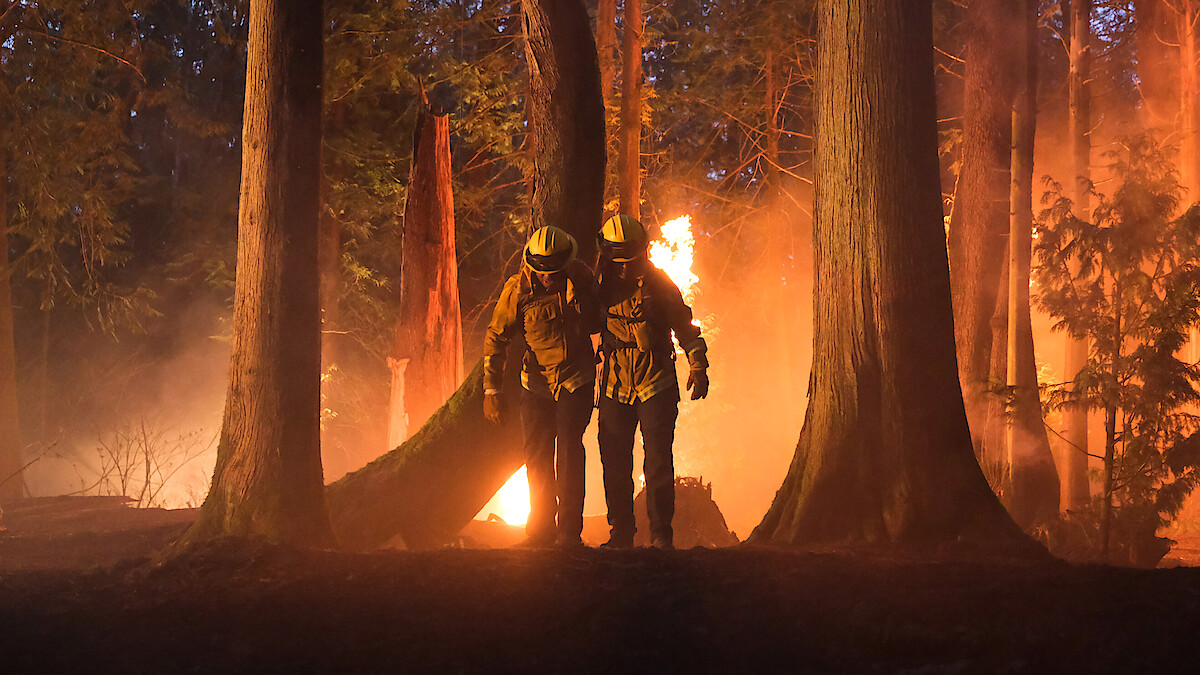 3 Workplace Dramas Like Fire Country to Stream Now - Netflix Tudum