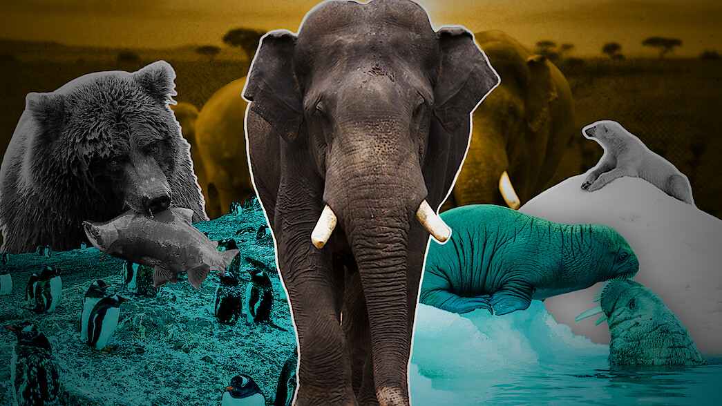 Our Planet 2 Sustainability Actions - Netflix Tudum