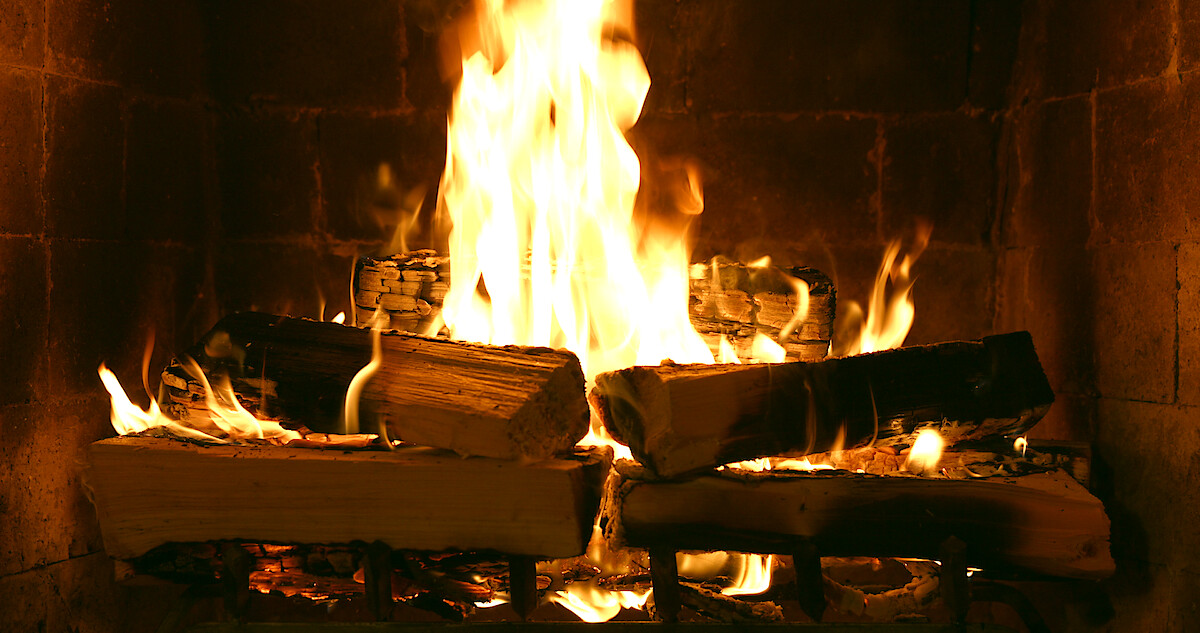 Fireplace for Your Home: What to know about the Yule Log Video on TV ...