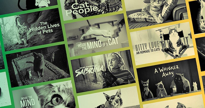 12 Best Movies About Animals That Kids Will Go Wild For - Netflix Tudum