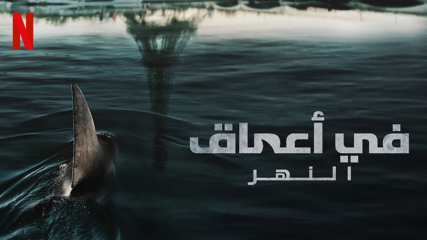 Top 10 Most Popular Movies on Netflix in Saudi Arabia