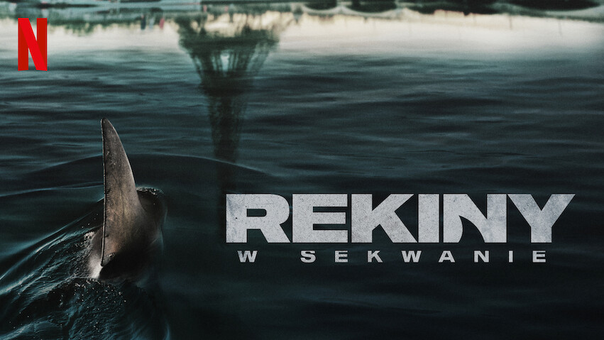 Top 10 Most Popular Movies on Netflix in Poland