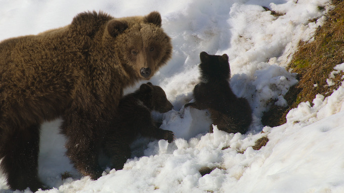 Our Universe Episode Guide and Recaps - Netflix Tudum