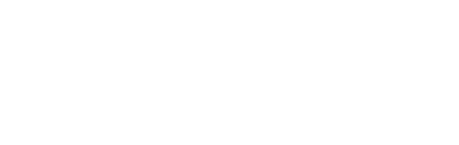 Netflix Top 10 - By Country: France