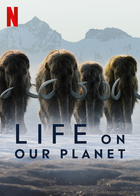 Life on Our Planet | Netflix Media Center