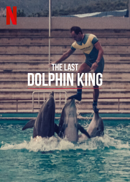 The Last Dolphin King | Netflix Media Center