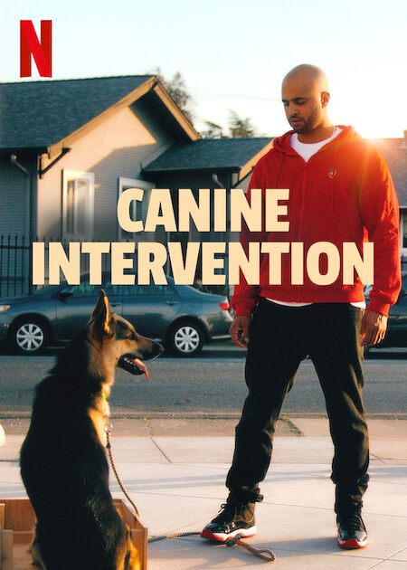 Canine Intervention | Netflix Media Center