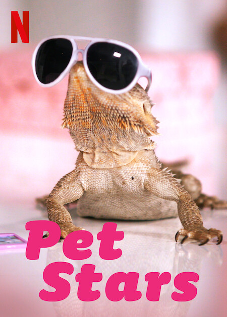 Pet Stars | Netflix Media Center