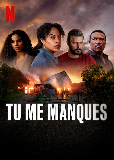 Film netflix store