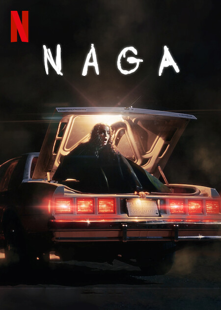 NAGA | Netflix Media Center